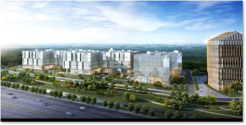 康维讯生物技术有限公司官网CGT产品的生物分析策略：qPCR/ddPCR方法学开发与验证精选